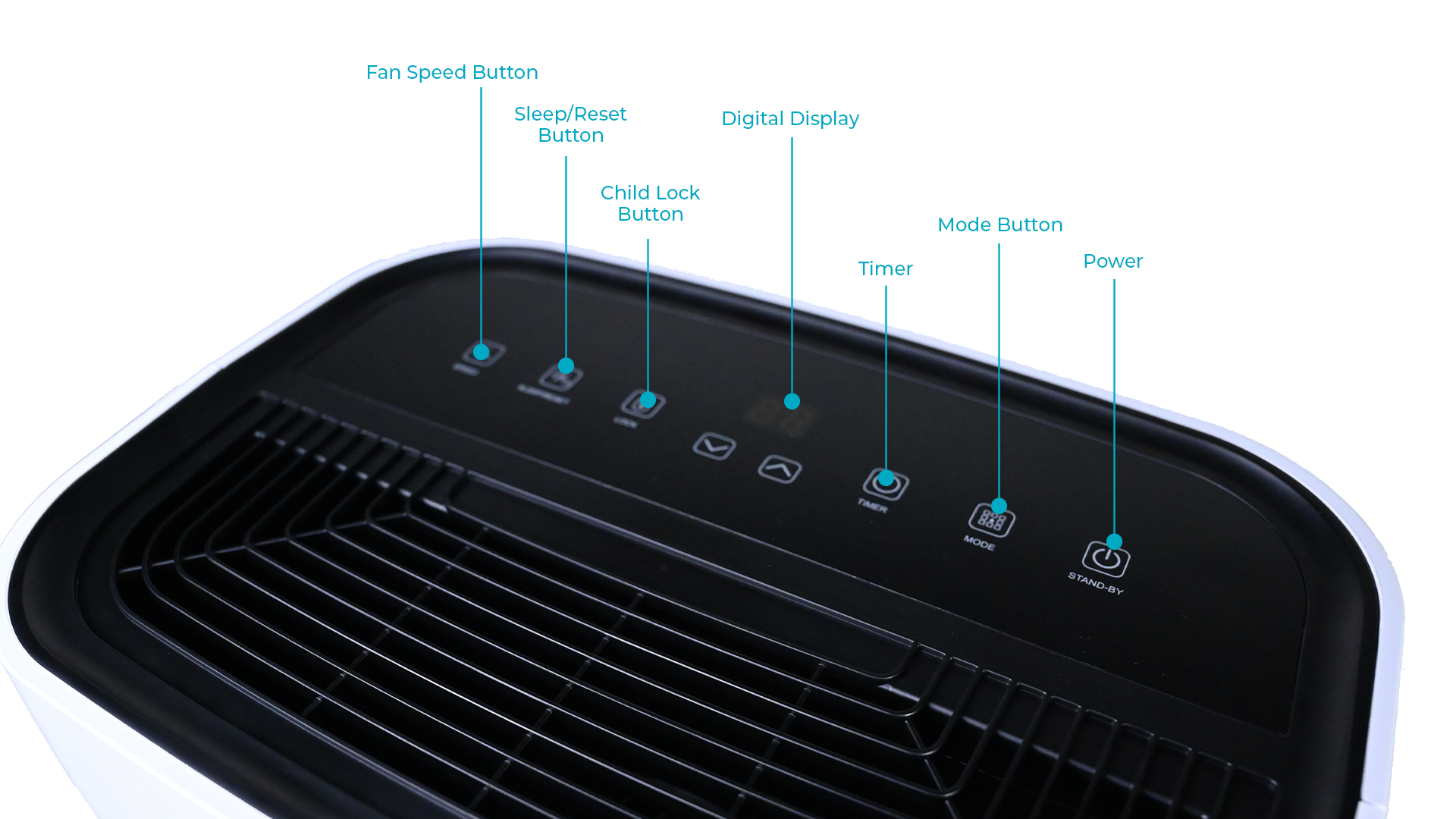 Dehumidifier for Home | 20L Dehumidifier | UV Care